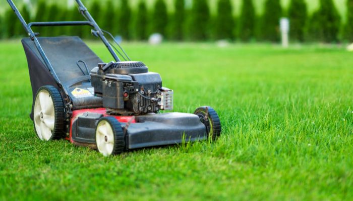 Best Lawn Care Schedule for Raleigh | Eastern Turf Maintenance